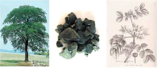 G-J | Brian Altonen, MPH, MS