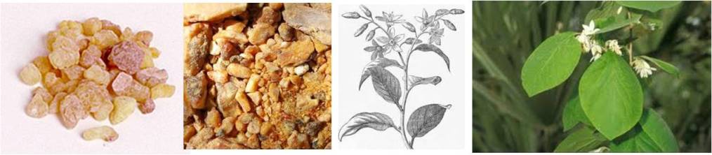 G-J | Brian Altonen, MPH, MS