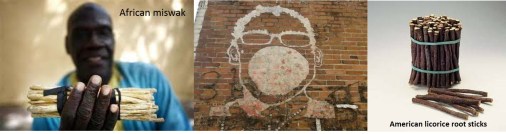 Chicle: The History of Chewing Gum | Brian Altonen, MPH, MS