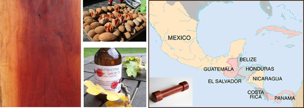 Chicle: The History of Chewing Gum | Brian Altonen, MPH, MS