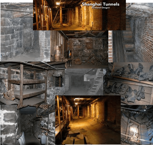 Chicle: The History of Chewing Gum | Brian Altonen, MPH, MS